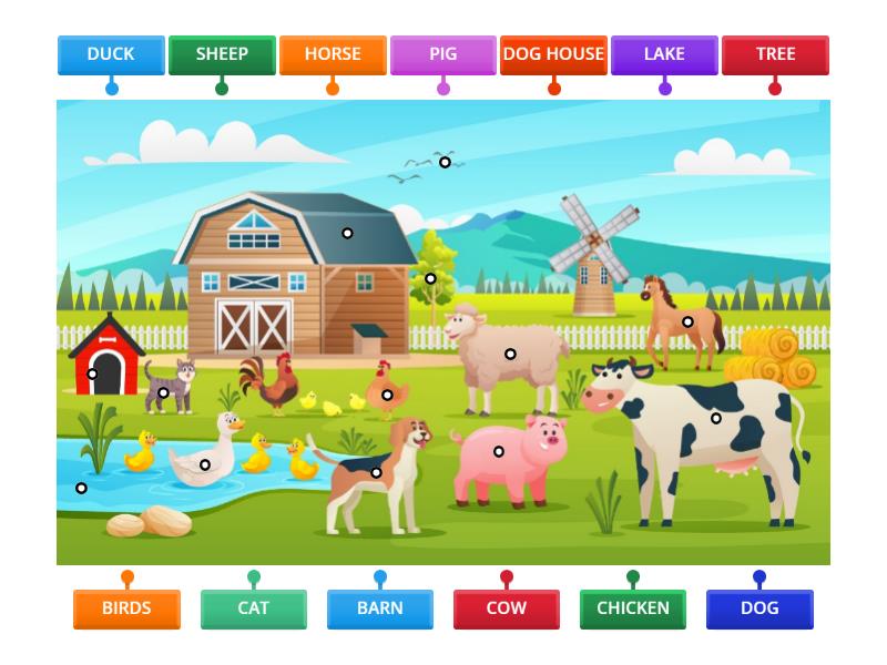 Farm - label the image - Labelled diagram