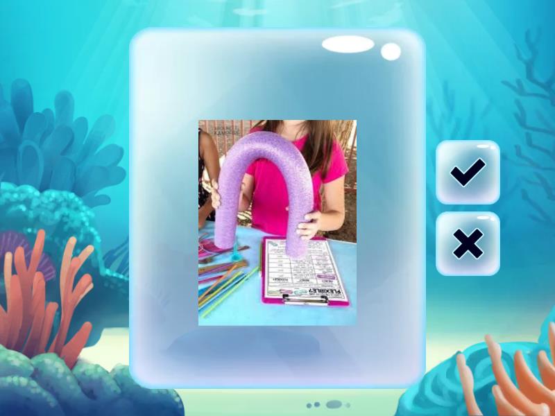 Term Test: living and nonliving things; animals, plants, bacteria and ...