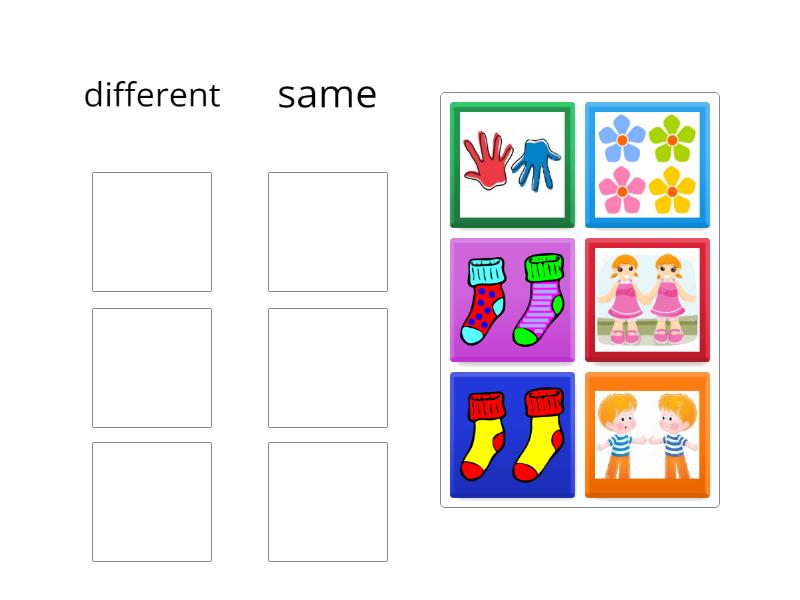 Same and Different - Group sort