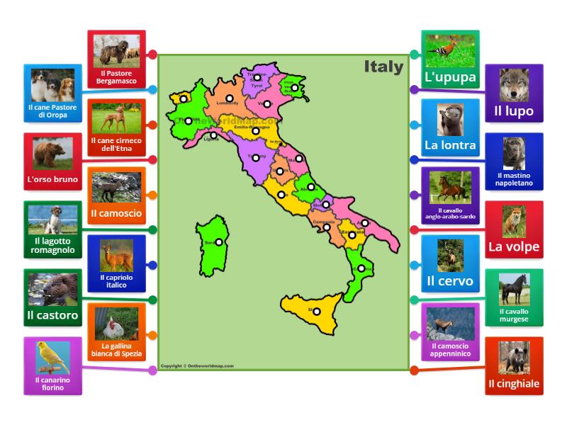 La fauna italiana - Labelled diagram