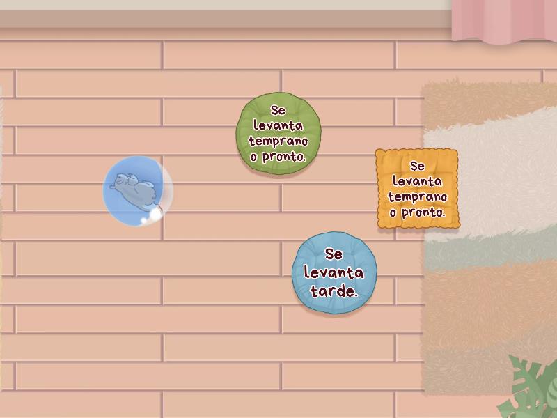 la rutina de Juan - Airplane