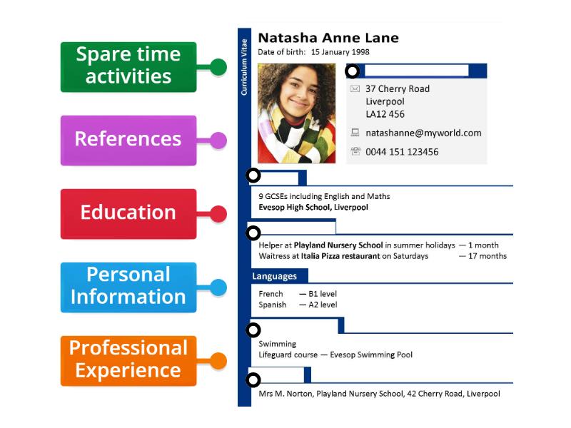Parts of a CV - Labelled diagram