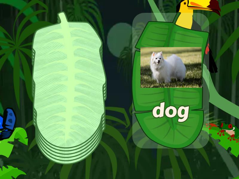 ST1 Pets - Speaking cards