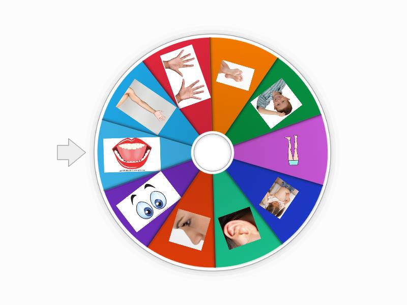 Parts of the body - Random wheel