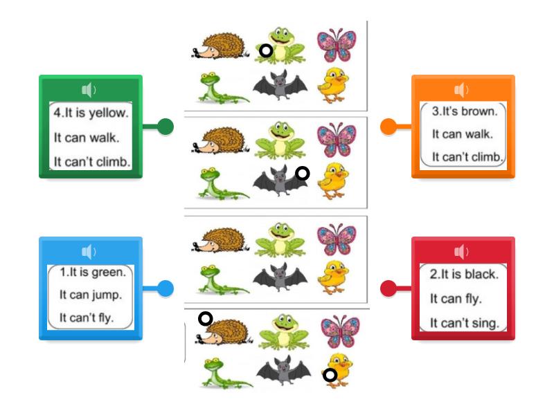 Riddle animals - Labelled diagram