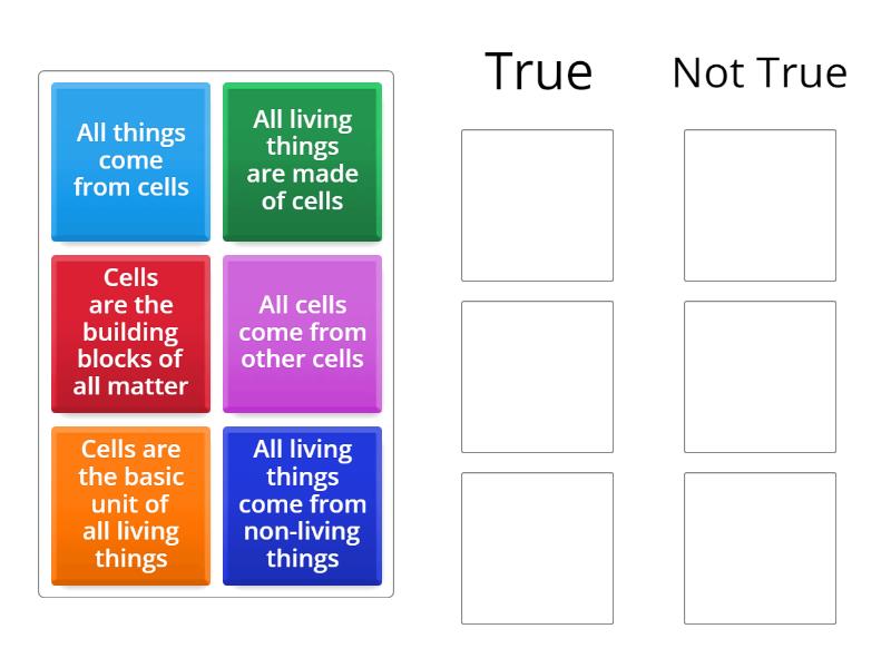 Cells Basics - Group sort