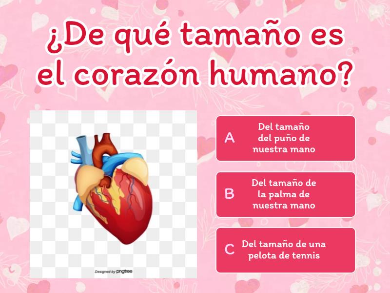 Corazón humano - Quiz