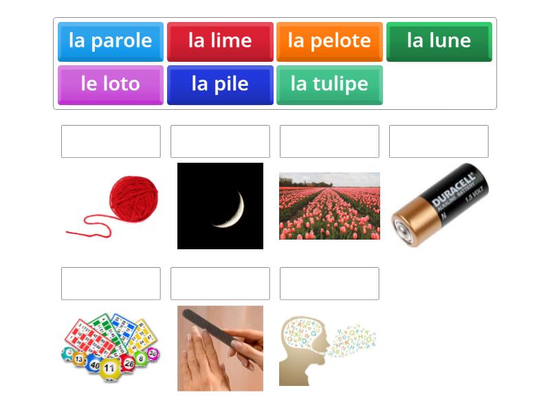 Lis les mots : lettre "l" - Match up