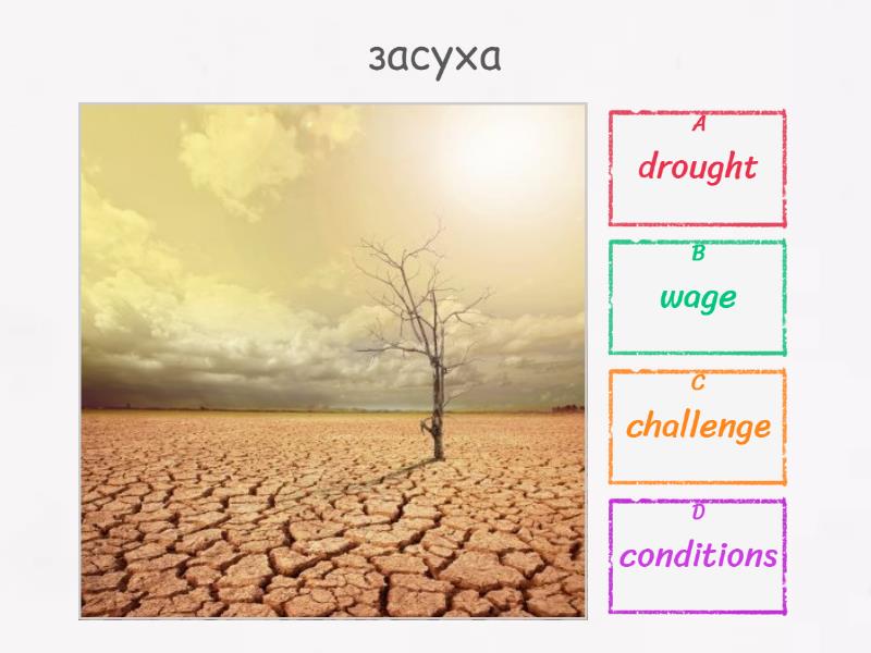 Starlight 6 Unit 5a Vocabulary - Quiz