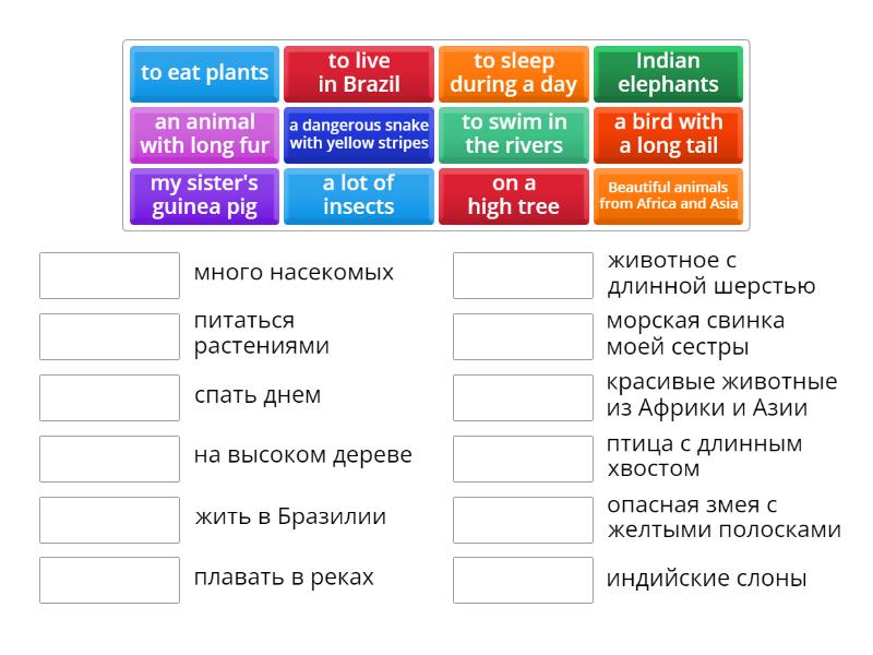 Spotlight 5 Module 5 - Match up
