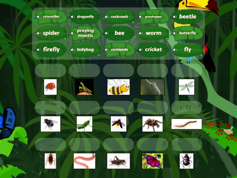 Bugs - Match up