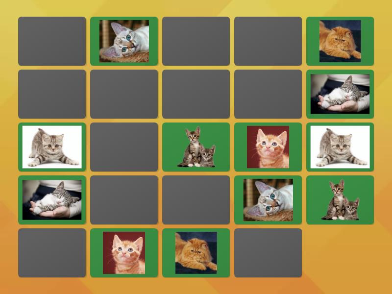 Cat Match - Matching pairs
