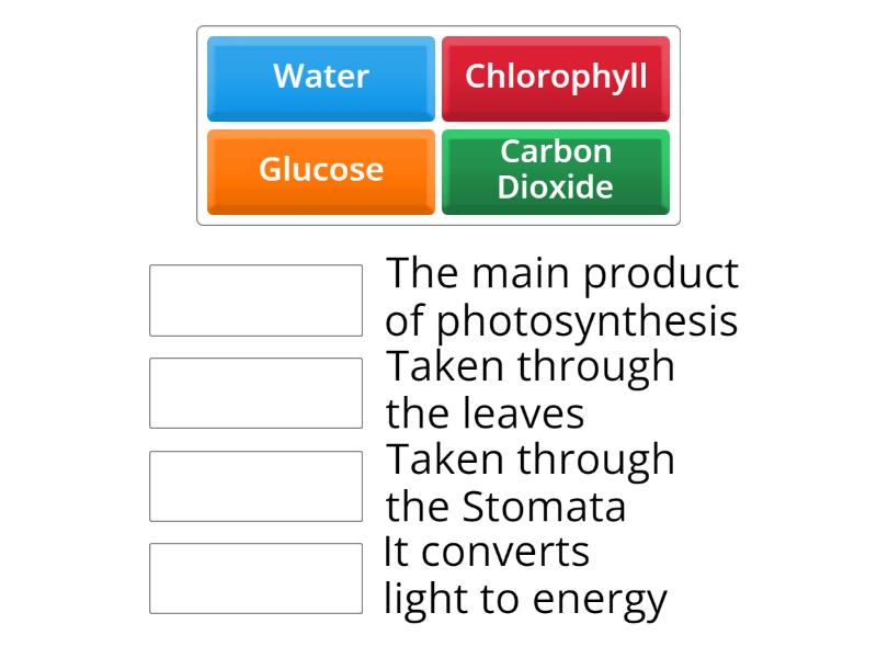 Key Componentsof Photosynthesis - Match up