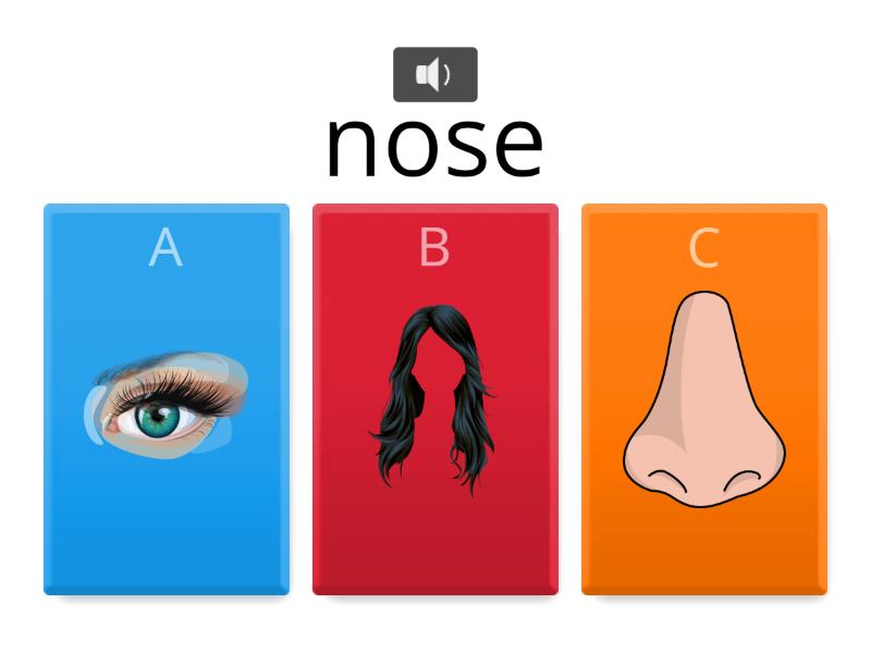 Parts of the face - Quiz