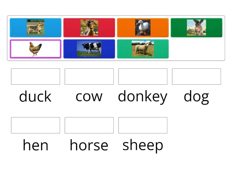 FARM ANIMALS QUIZ - Match up