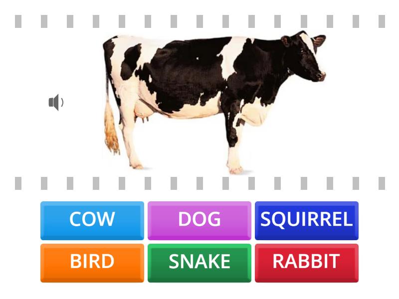 Animals unit 1 - Cada oveja con su pareja