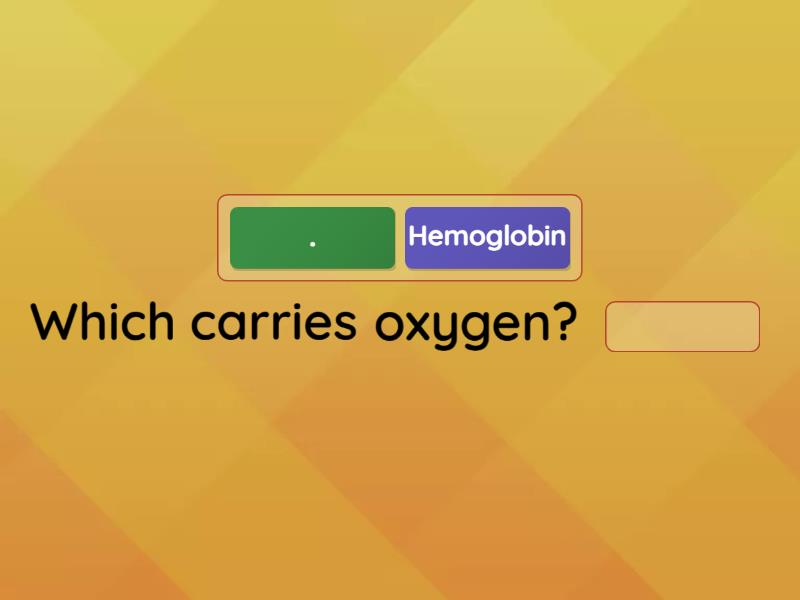What body part does this function? - Complete the sentence