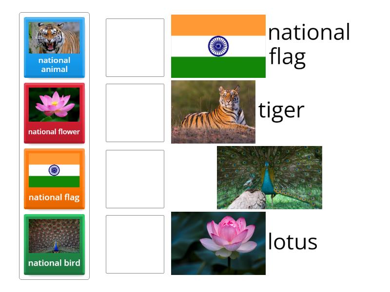 national symbols - Match up