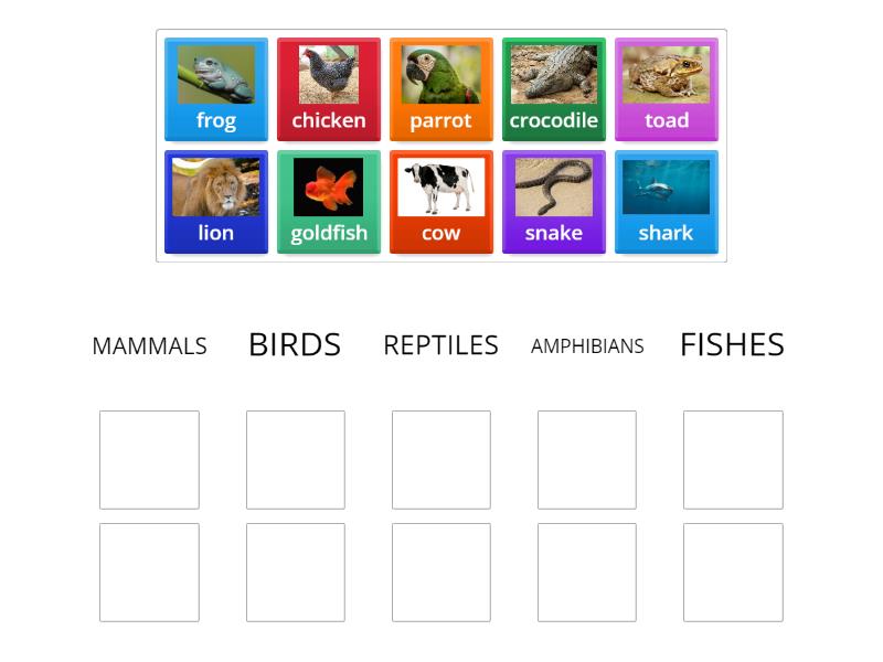 CLIL - Sience: Animal classification - Ordenar por grupo