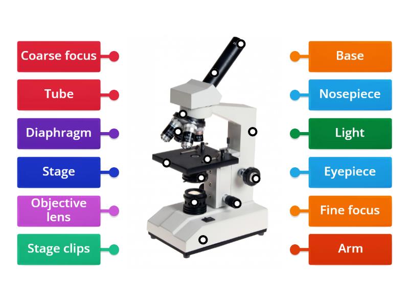 Labeling Microscope Parts - Labelled diagram