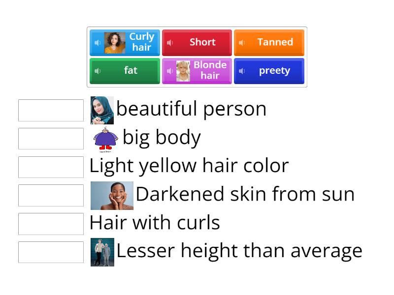 Physical Traits Matching Game - Match up