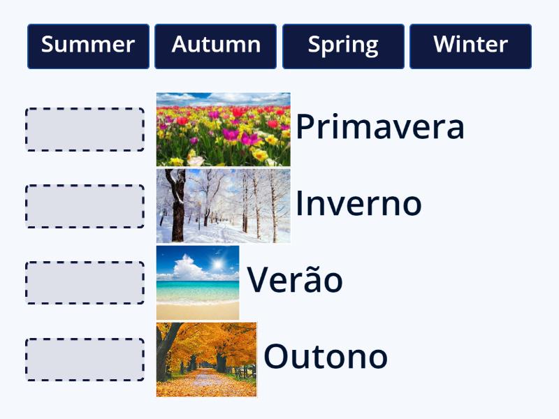 Estações do Ano - Seasons - Match up