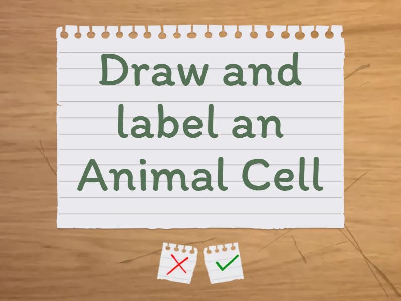 Biology GCSE Cell Revision - Flash cards