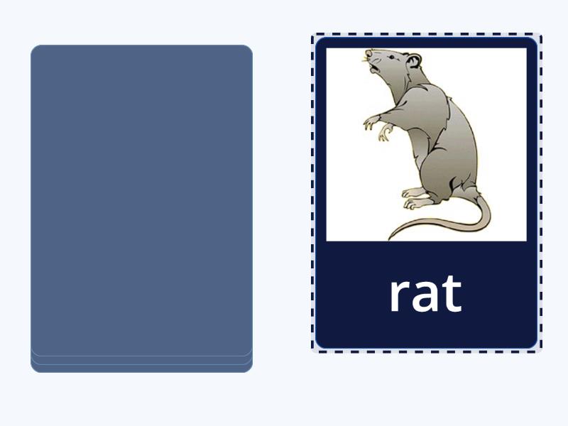 SG2, U2 -at - Speaking cards