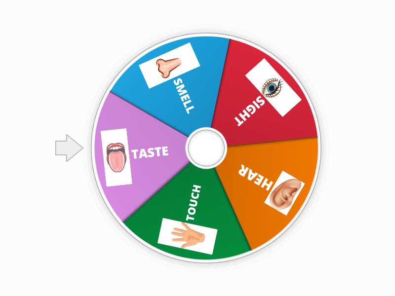 SENSES - Spin the wheel