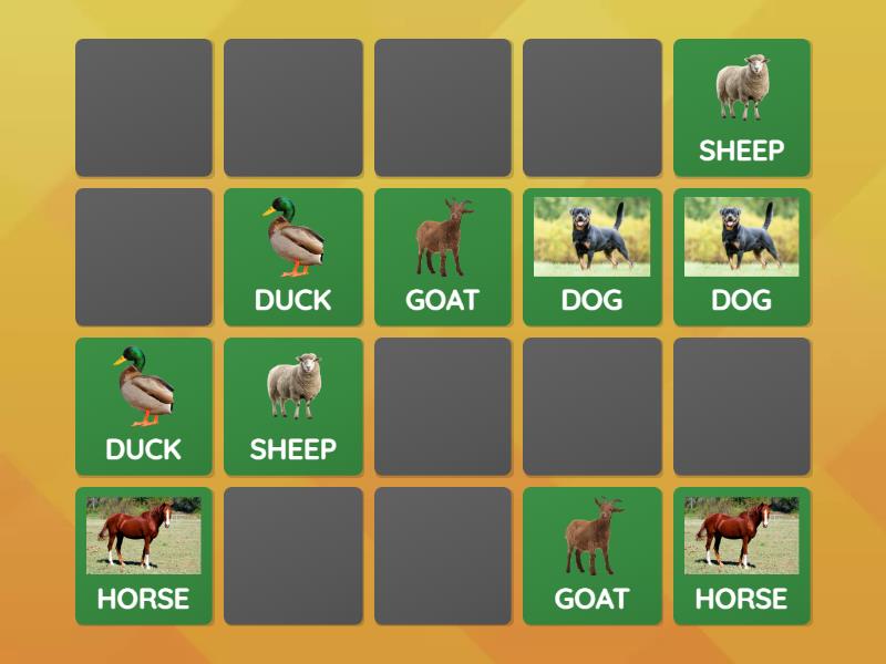 FARM - Matching pairs