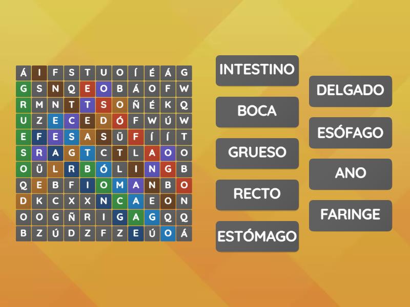 SISTEMA DIGESTIVO - Sopa de letras