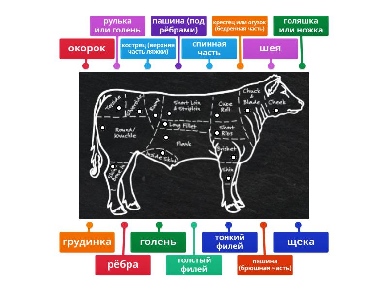 Beef parts - Imagem com legenda