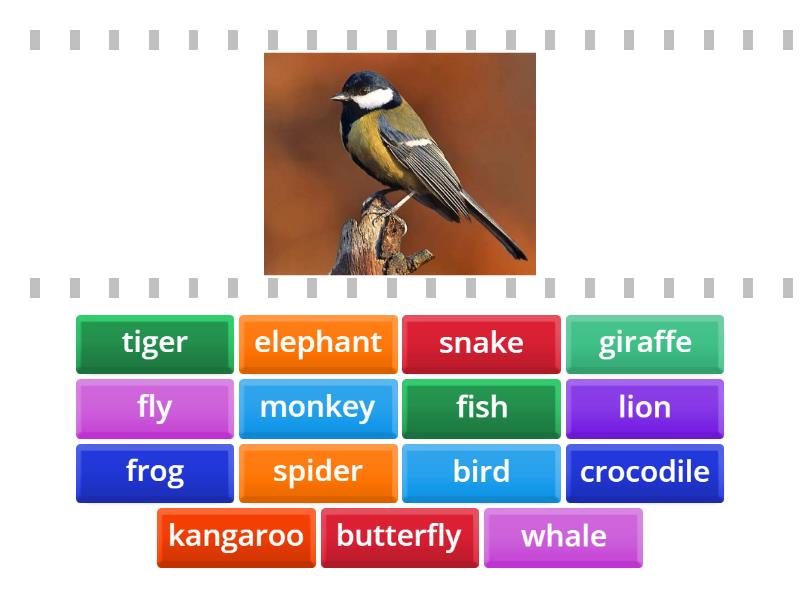 Go Getter (1) 7.1_Wild animals - Find the match