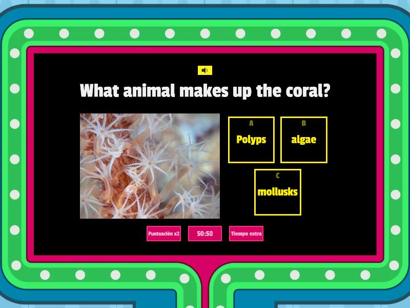 Coral reefs. - Concurso de preguntas