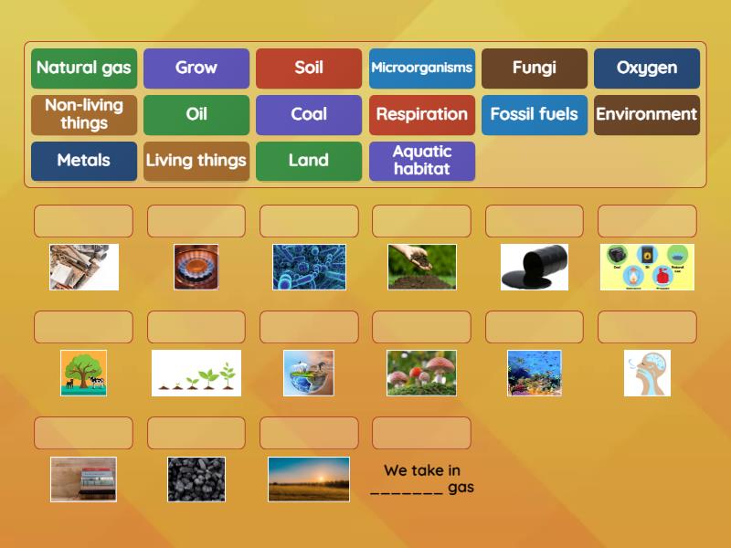 Natural resources - Match up
