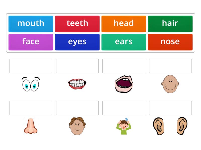 Face Parts - Match up