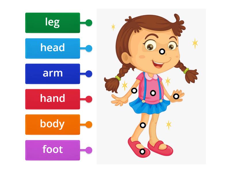 What is the body part? - Labelled diagram