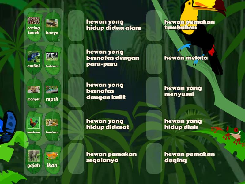jenis jenis hewan - Match up