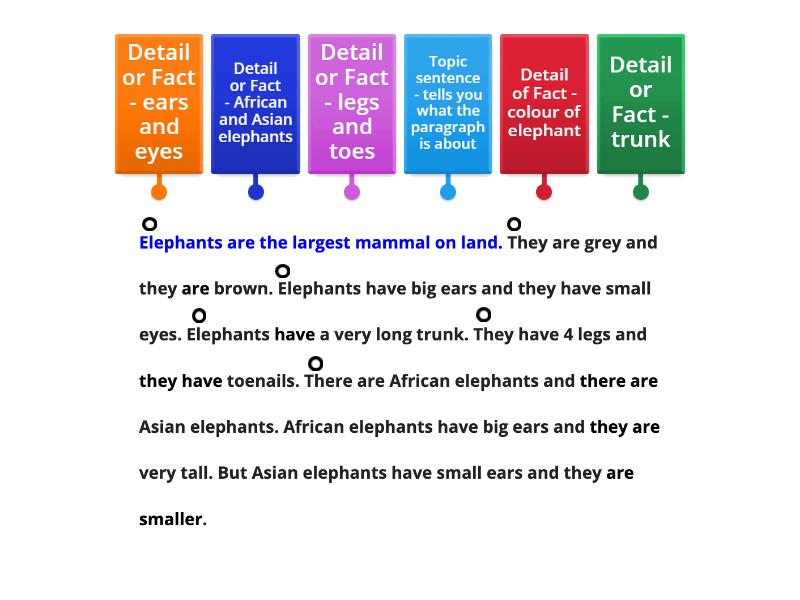 Nonfiction Report - paragraph writing - ID parts of a paragraph ...