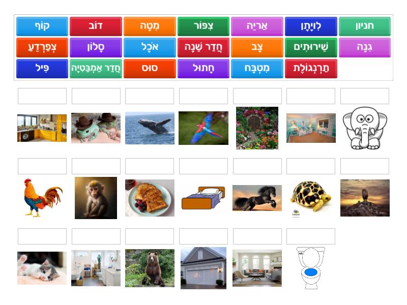 Grade 1 Hebrew House and Zoo - Match up