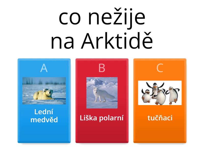 ARKTIDA 7.b - Quiz