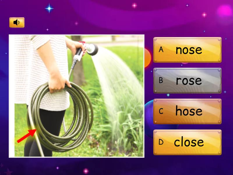 P3 Phonics 3D ‘ose’ (6 ) - Quiz