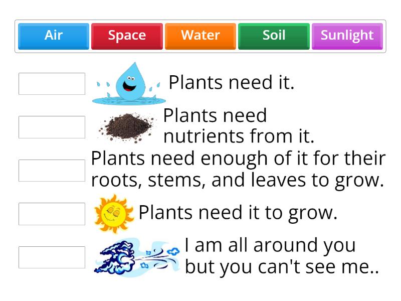 Plants Needs - Match up