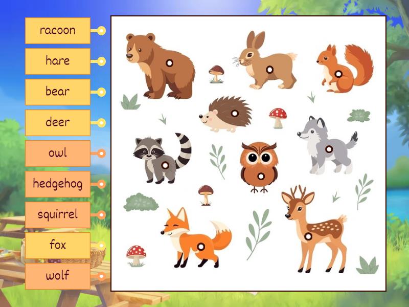 Forest animals for kids - Labelled diagram