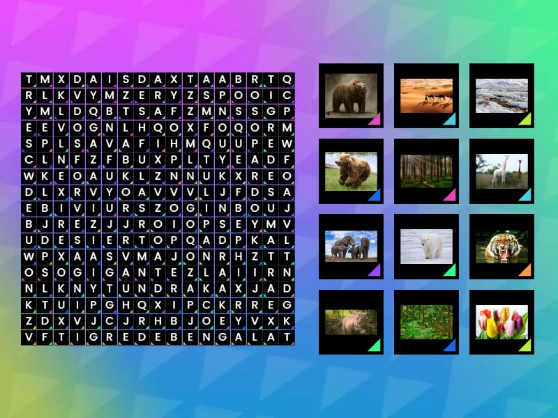 Niveles de biodiversidad - Sopa de letras