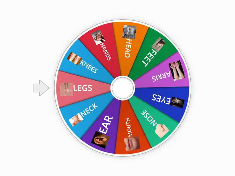 PARTS OF THE BODY - Spin the wheel