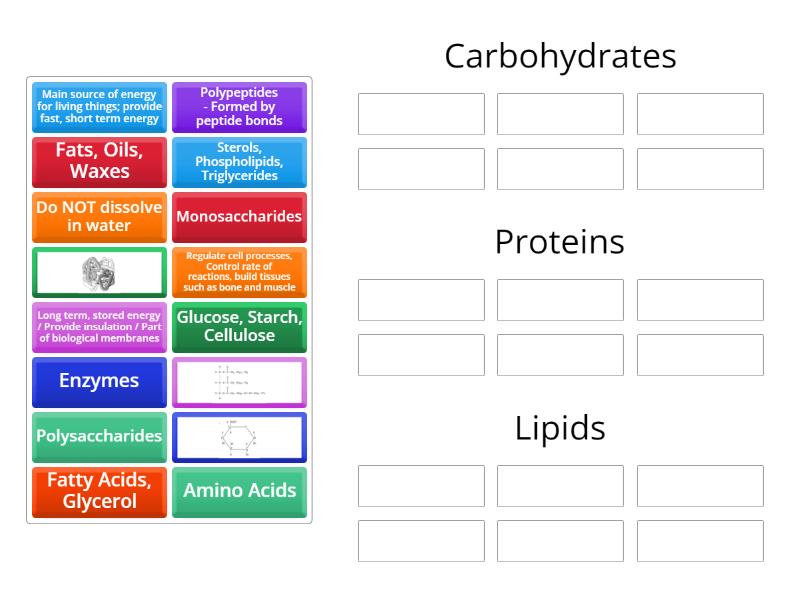 Macromolecules - Group sort
