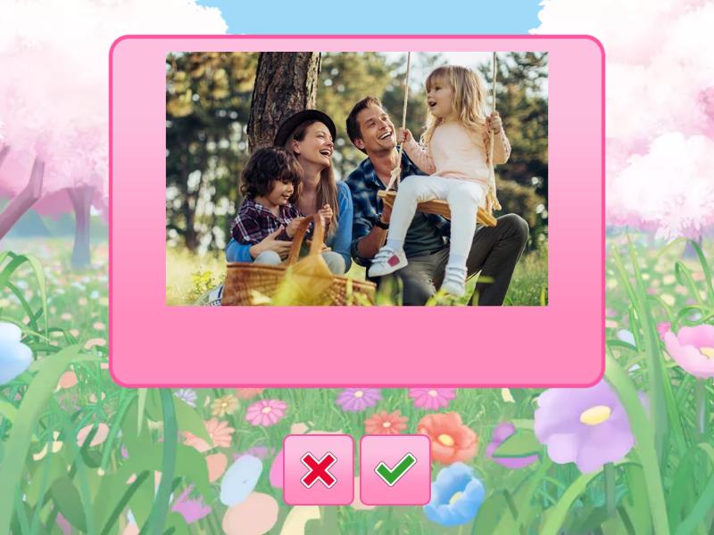 Roadmap Unit 2A Family - Flash cards