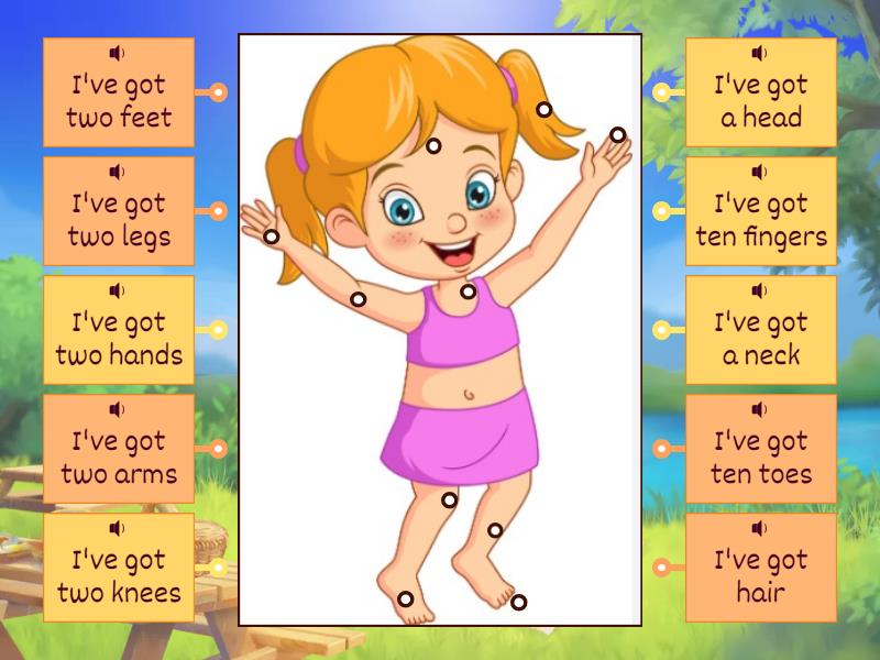 body parts - Labelled diagram