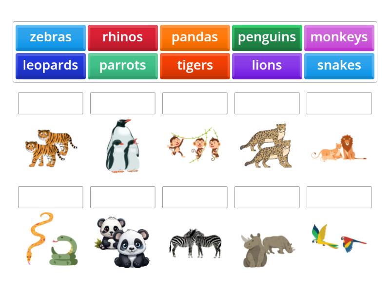 Animals vocabulary - Match up